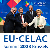 Home | The Caribbean American Heritage Foundation of Texas